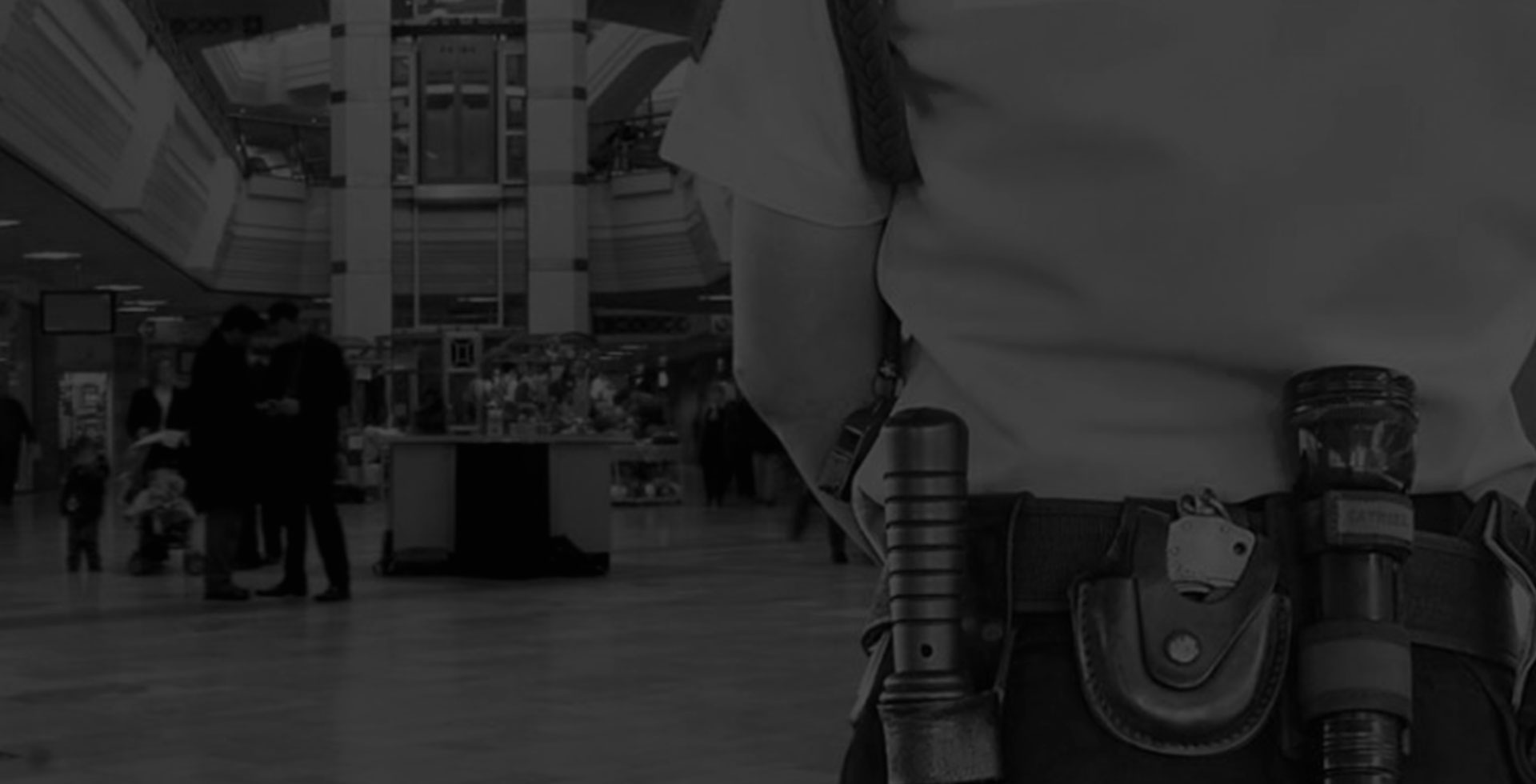 Grupo Valhalla – Seguridad Privada Grupo Valhalla – Seguridad Privada